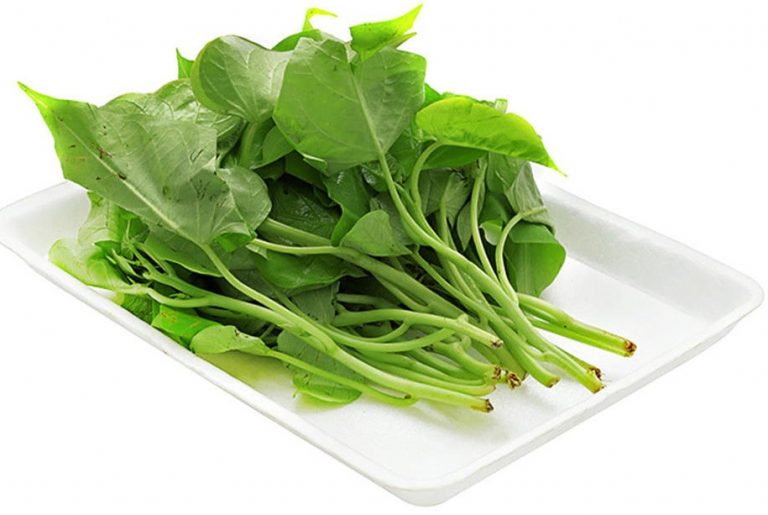 【CÁCH TRỒNG】Cây rau lang ăn lá với ngọn cả cả năm
